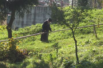 Rabdare trebuie sa aveti