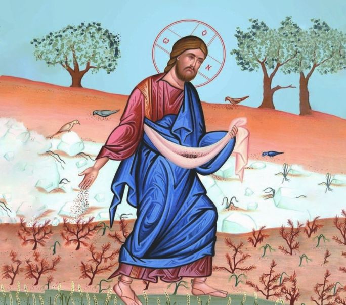 Domnul risipeste samanta?